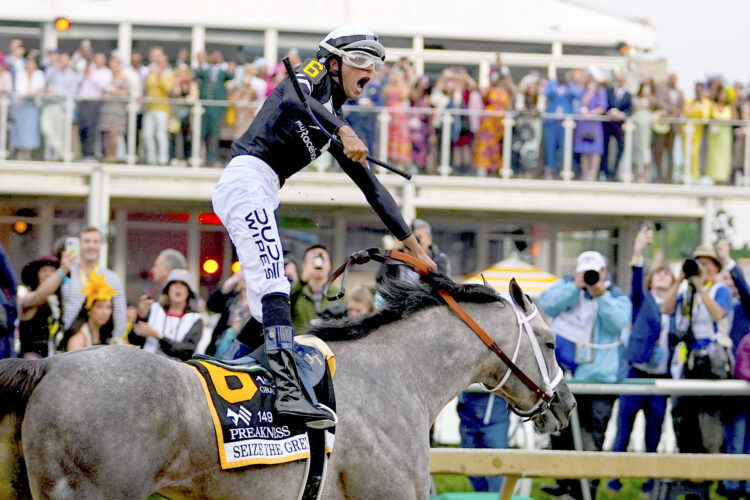 Seize the Grey wins Preakness | News, Sports, Jobs - The Sentinel